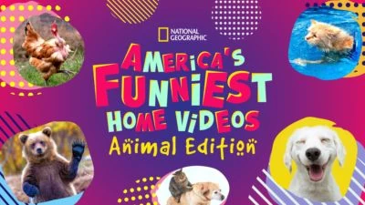 America's Funniest Home Videos: Animal Edition | Disney+ Australia Wiki ...