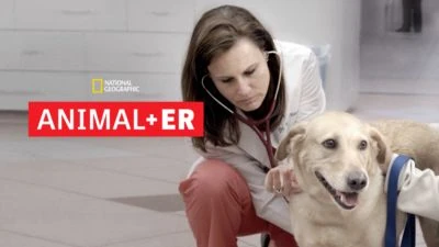 Animal ER | Disney+ Australia Wiki | Fandom