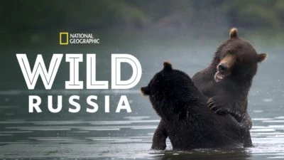 Wild Russia | Disney+ Australia Wiki | Fandom