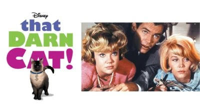 That Darn Cat! | Disney+ Australia Wiki | Fandom