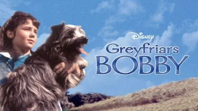Greyfriars Bobby | Disney+ Australia Wiki | Fandom