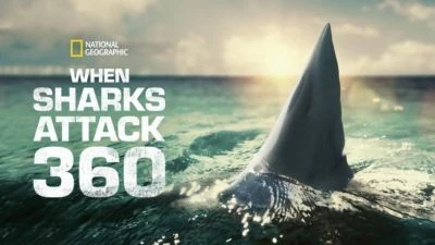When Sharks Attack 360 | Disney+ Australia Wiki | Fandom