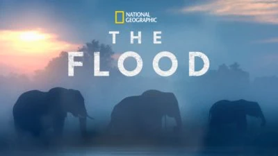 The Flood | Disney+ Australia Wiki | Fandom