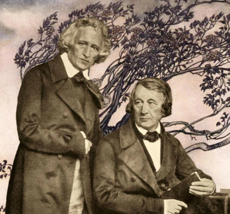 The Brothers Grimm | Disney Prince Wiki | Fandom
