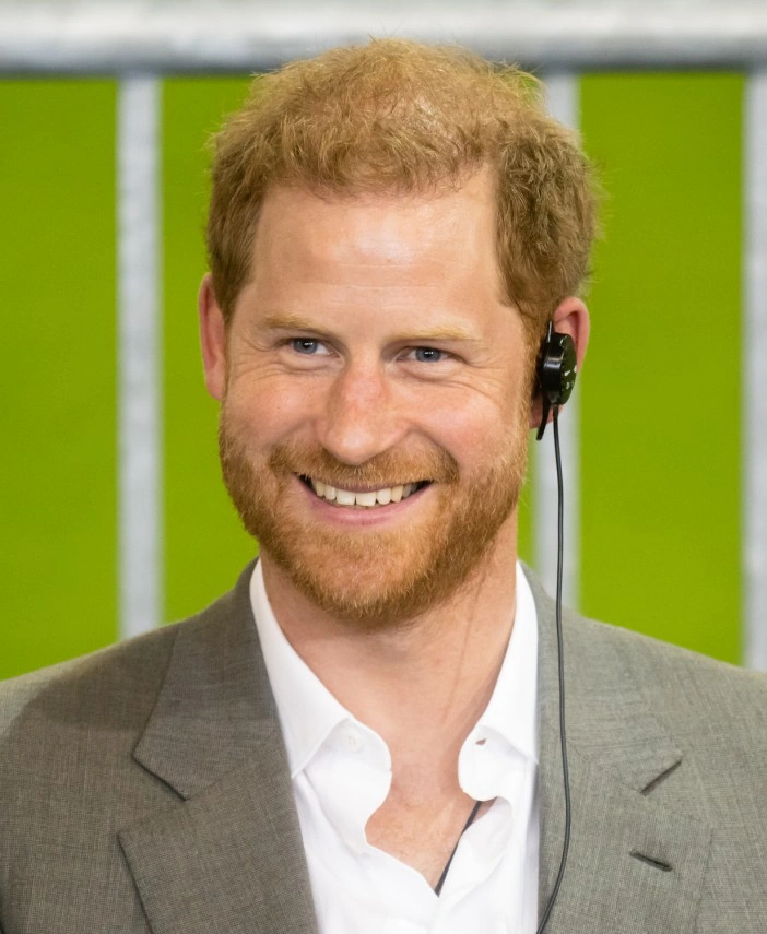 Prince Harry, Duke of Sussex | Disney Prince Wiki | Fandom