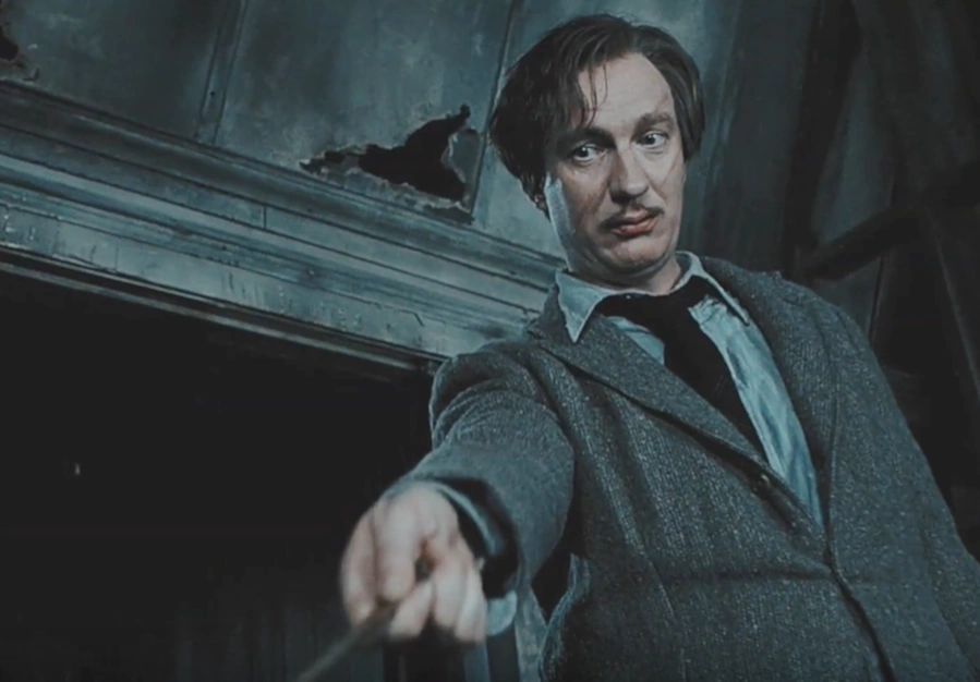 Remus Lupin/Quotes | Disney Prince Wiki | Fandom