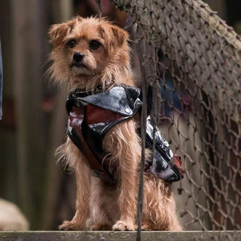 Dude | Disney Prince Wiki | Fandom