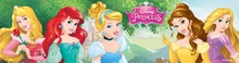 Cinderella | Disney Princess And Girls Wiki | Fandom