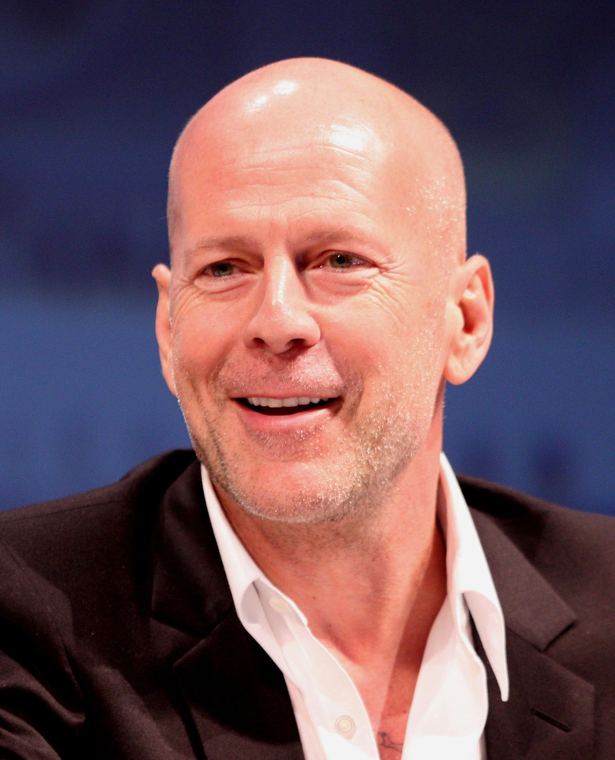 Bruce Willis | Disney Princess And Girls Wiki | Fandom