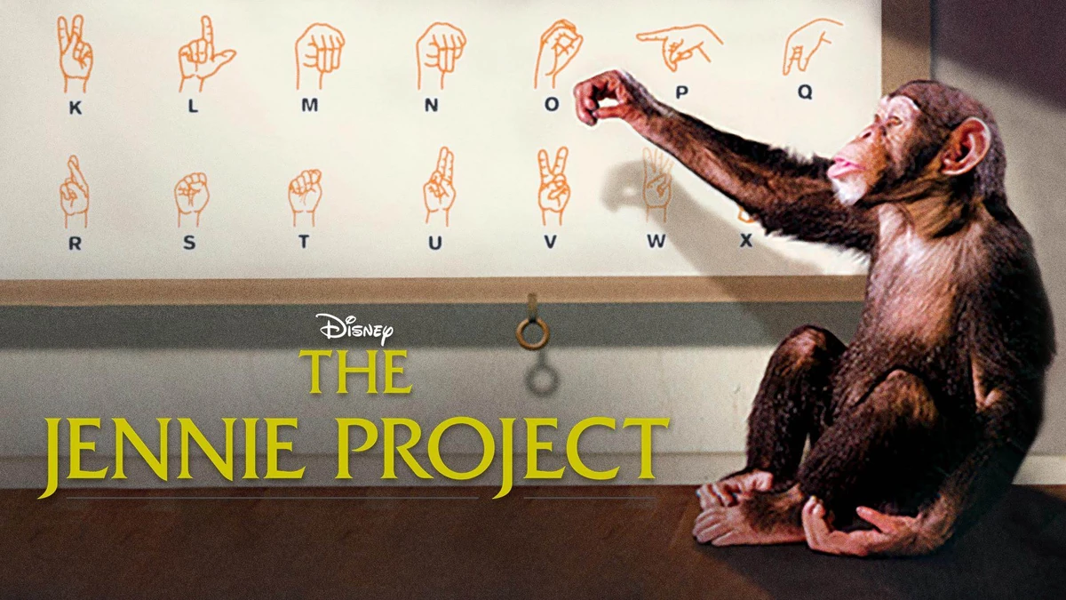 The Jennie Project | Disney Savvy Wiki | Fandom