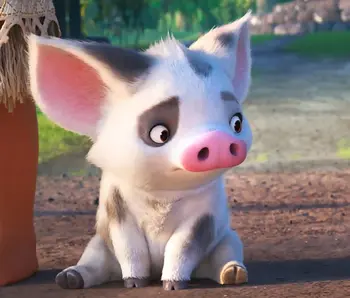 Pua (Moana) | Disney Transformed Wiki | Fandom