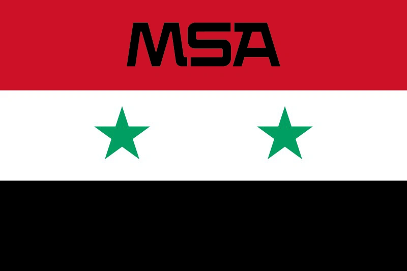 MSA Syrian Dub | Disney TV Multi-Language Wiki | Fandom