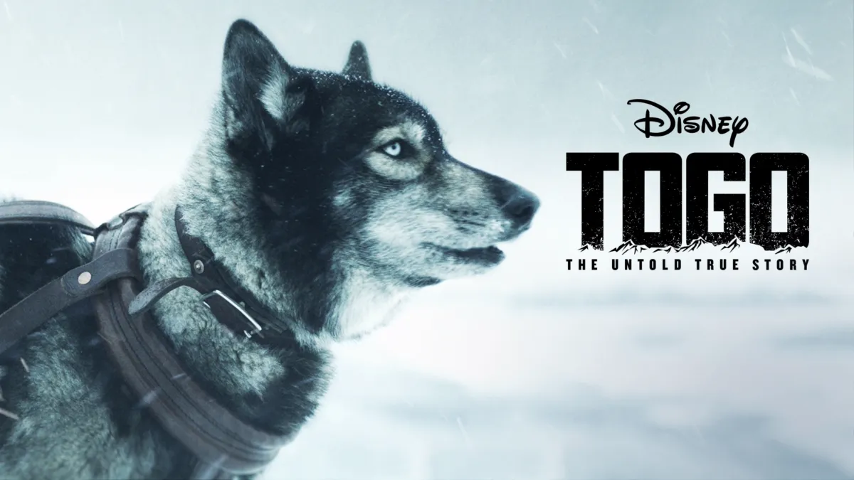 Togo | Disney Varietyfan Wiki | Fandom