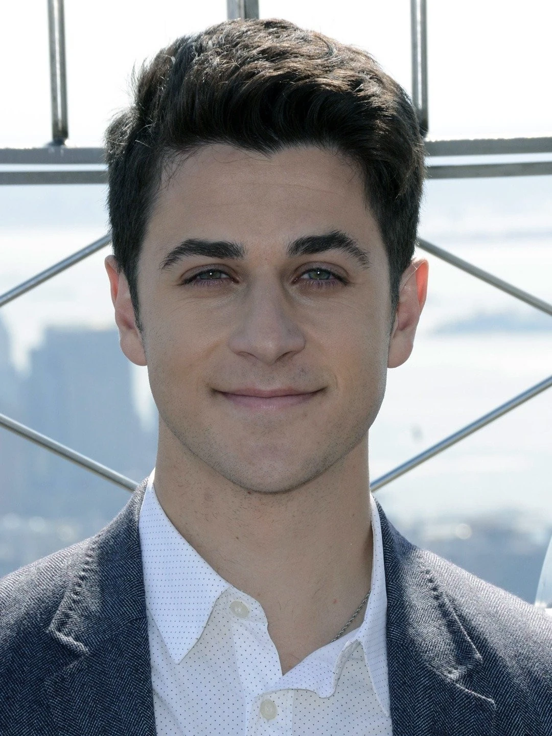 David Henrie | Disney Wise Wiki | Fandom