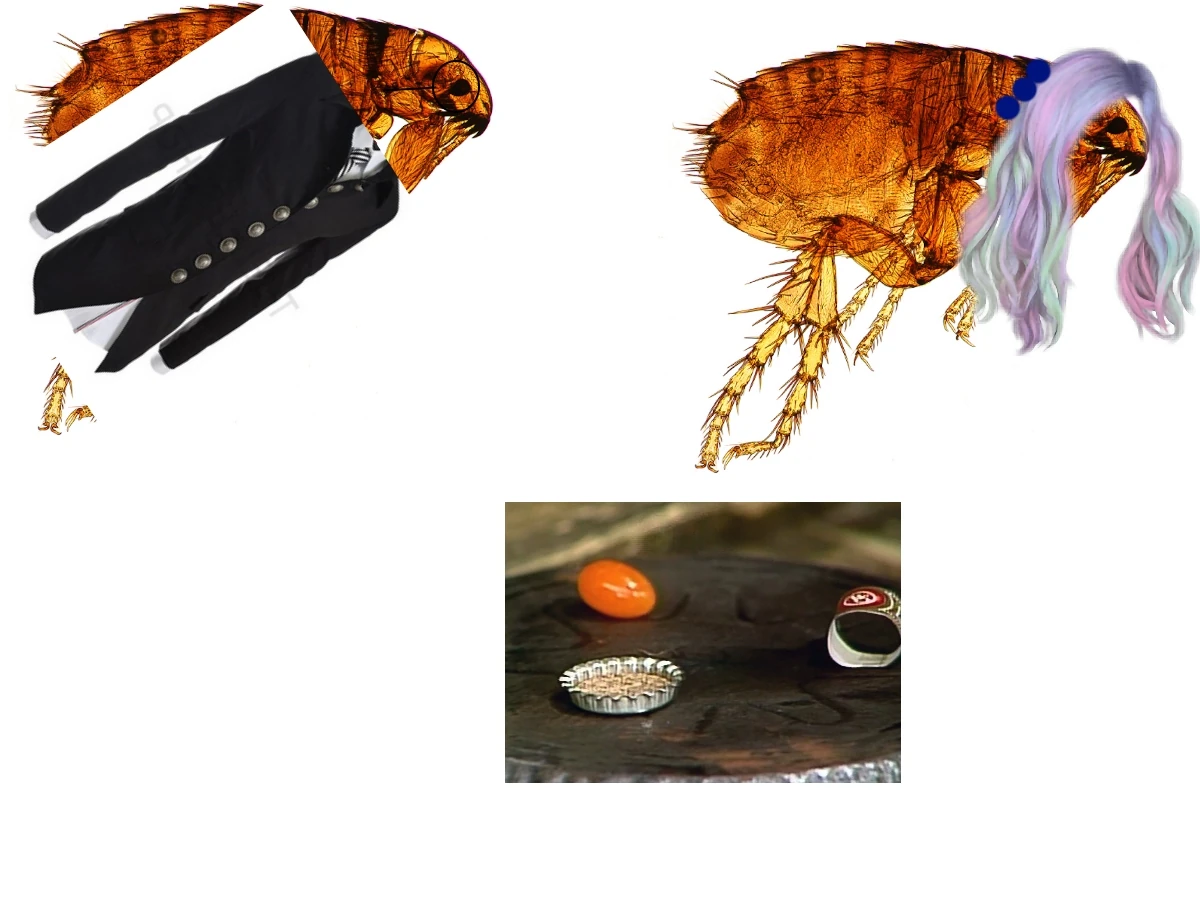 Fernando family | Disney XD Fanon Wiki | Fandom