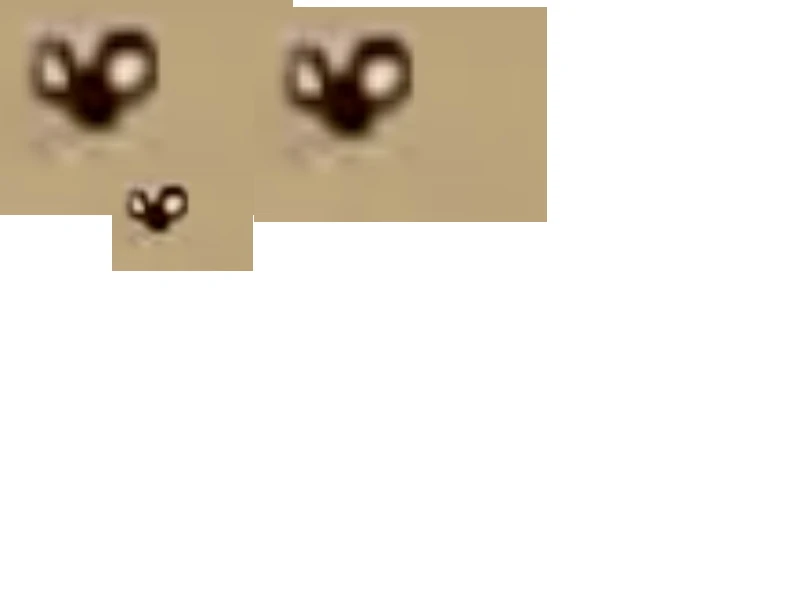 Dora bug family | Disney XD Fanon Wiki | Fandom