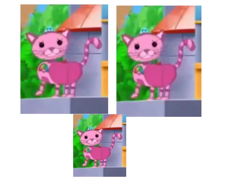 Family cat | Disney XD Fanon Wiki | Fandom