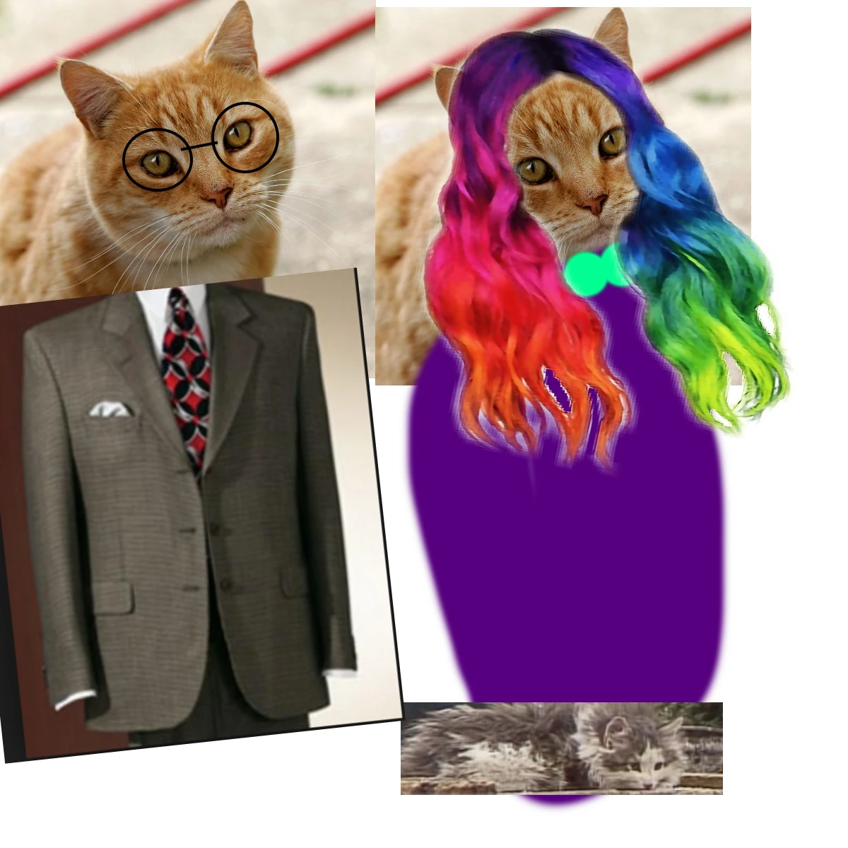 Tiny Tim family | Disney XD Fanon Wiki | Fandom