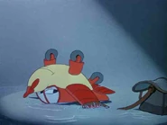 Pedro | Disney Wiki | Fandom