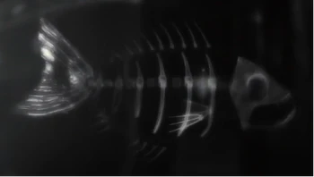 Invisible Goldfish | Disney Wiki | Fandom