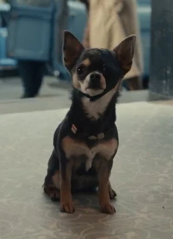 Wink | Disney Wiki | Fandom