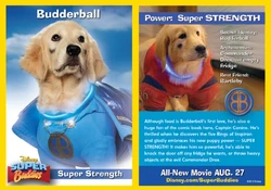 Snow Buddies Budderball