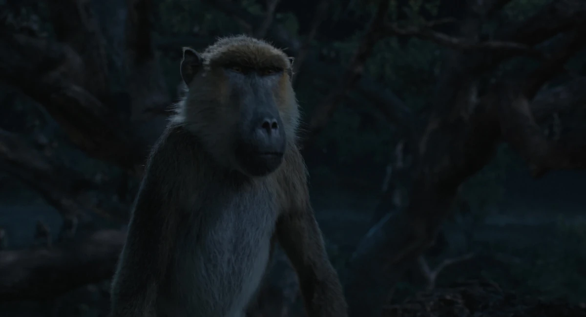 Mobo | Disney Wiki | Fandom