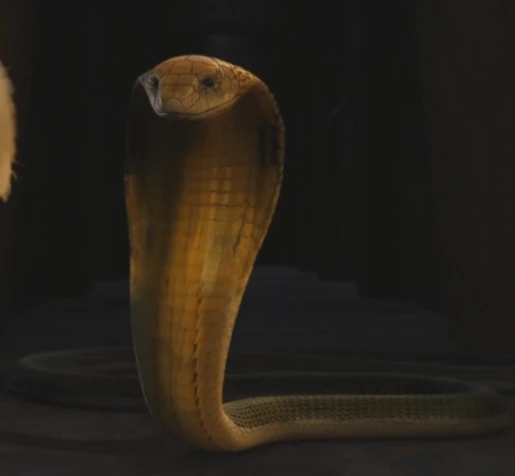 Slither | Disney Wiki | Fandom