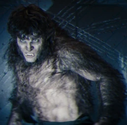 Lobisomem na Noite | Disney Wiki | Fandom