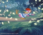 Aracuan Bird/Gallery | Disney Wiki | Fandom