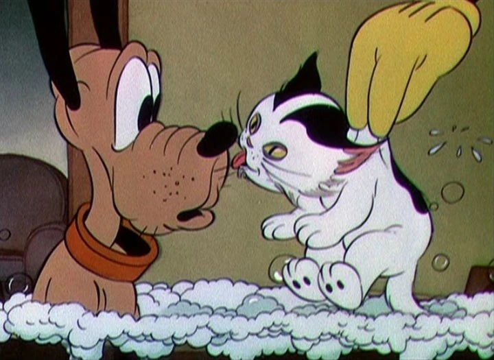 Kitten (Pluto's Judgement Day) | Disney Wiki | Fandom