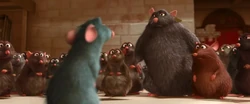 ratatouille git lab rat