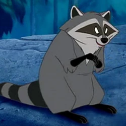 Personajes De Dibujos Animados De Mapaches