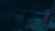 Giant Squid (Finding Nemo) | Disney Wiki | Fandom