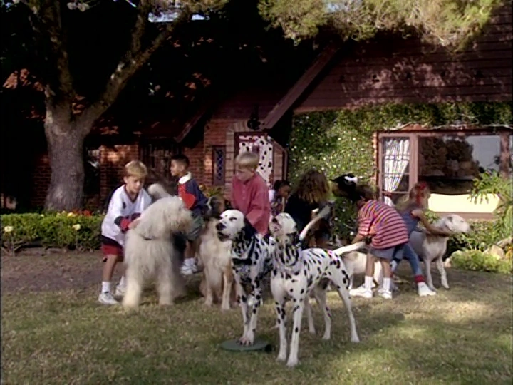 Hot Diggity (Dog Ziggity Boom) | Disney Wiki | Fandom