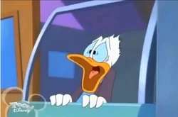 big bad wolf daddy widescreen