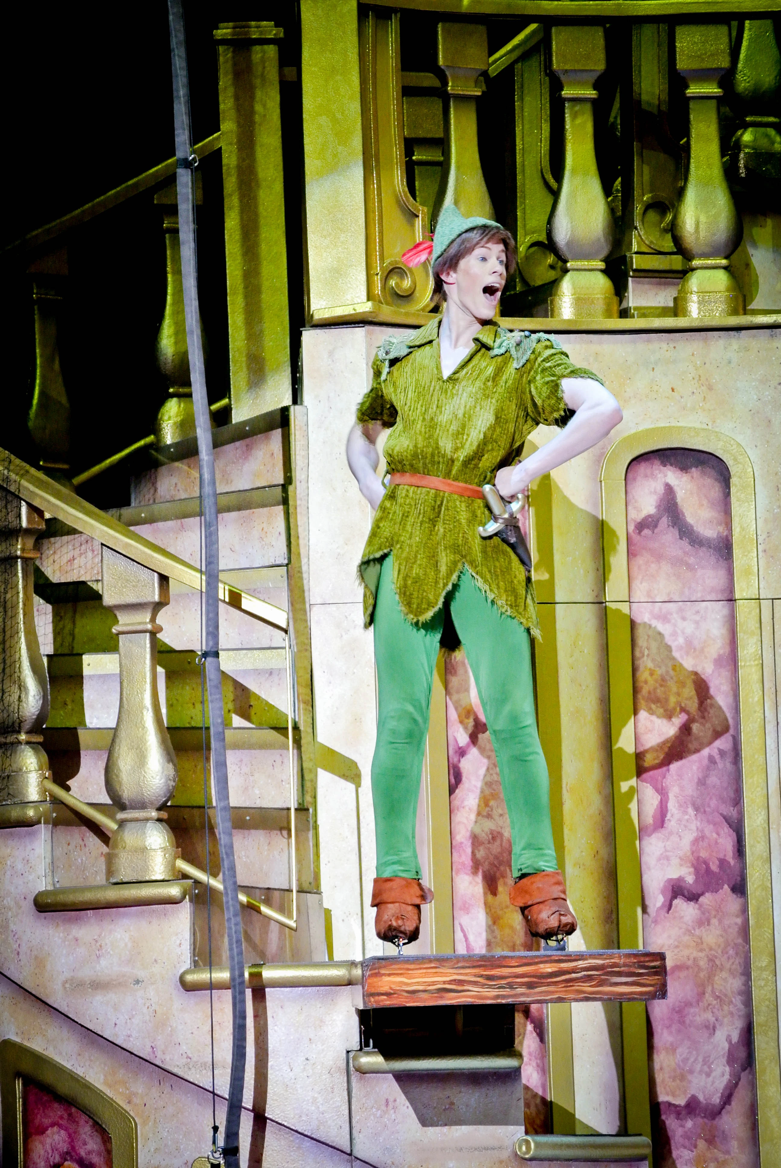 Epic Peter Pan Costume