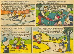 The Think Box Bollix | Disney Wiki | Fandom