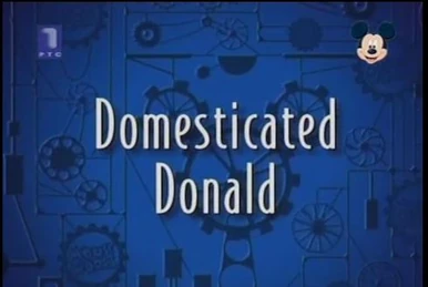 mickey mouse car washers