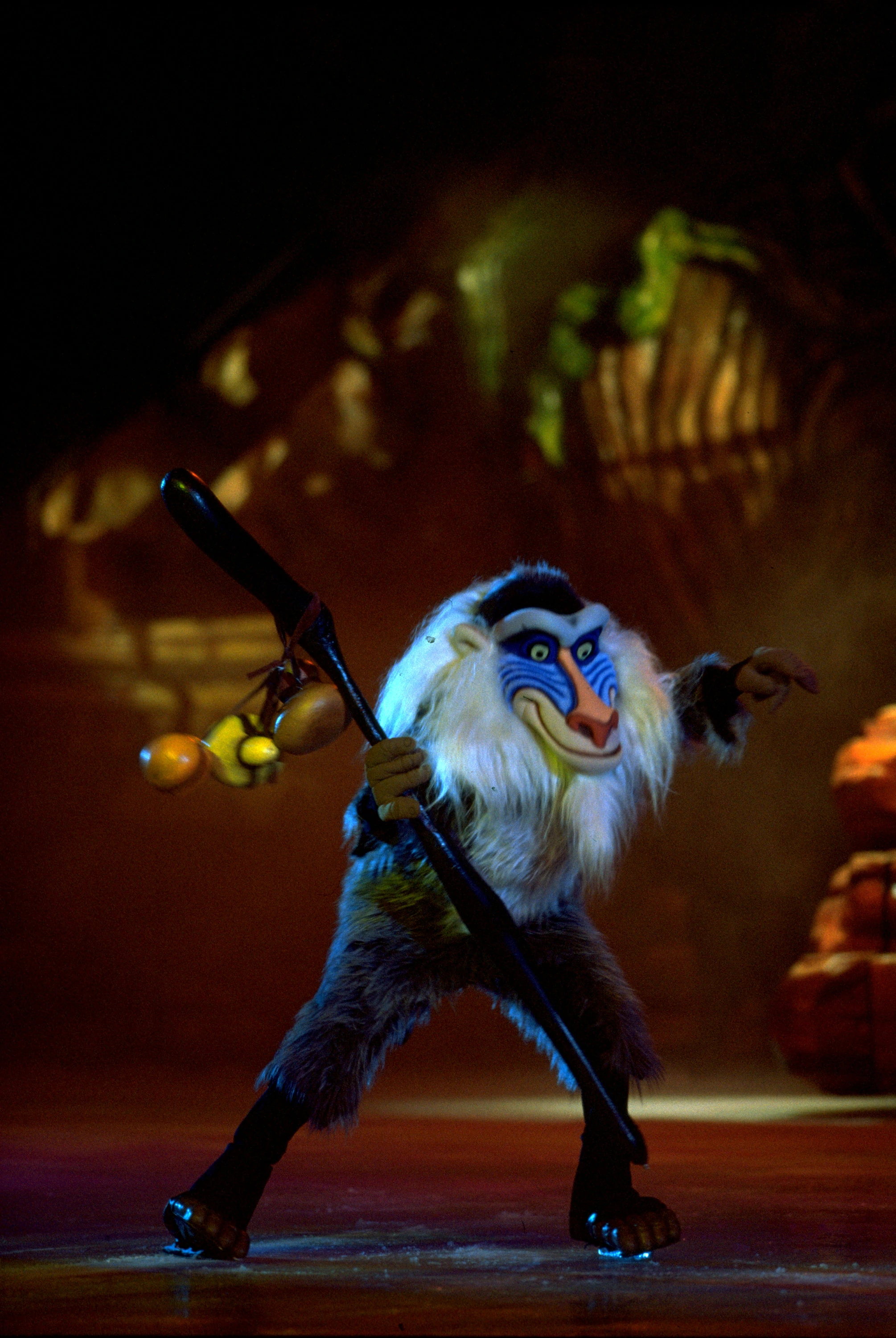 Rafiki Costume