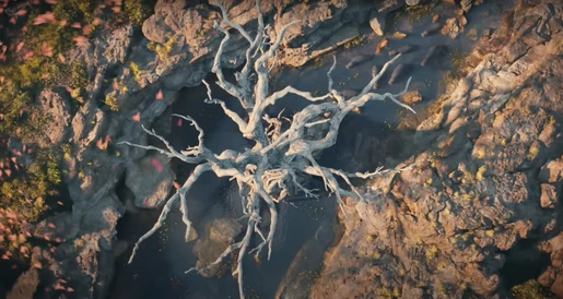 Dead Tree | Disney Wiki | Fandom