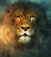 Aslan | Disney Wiki | Fandom