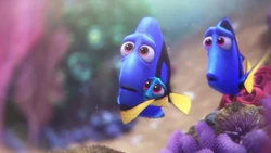 Finding Dory Charlie