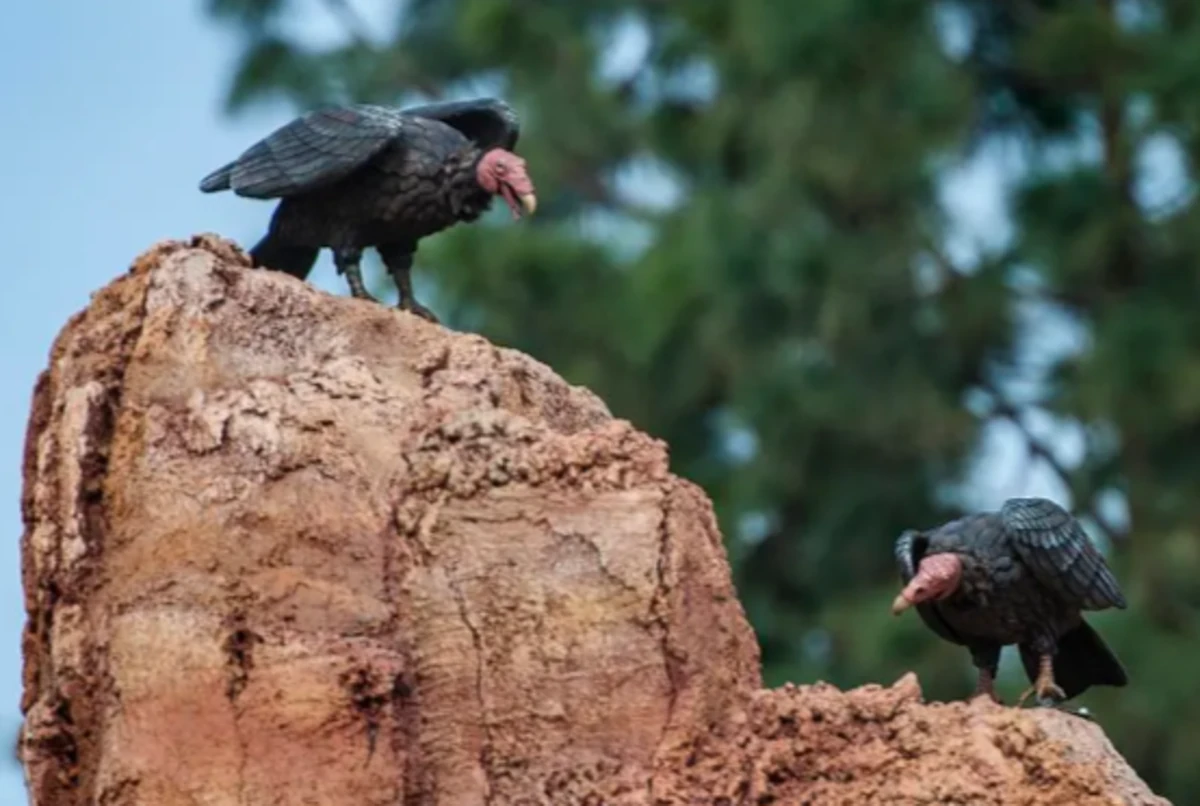 Vultures | Disney Wiki | Fandom