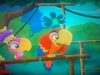 Wise Old Parrot | Disney Wiki | Fandom