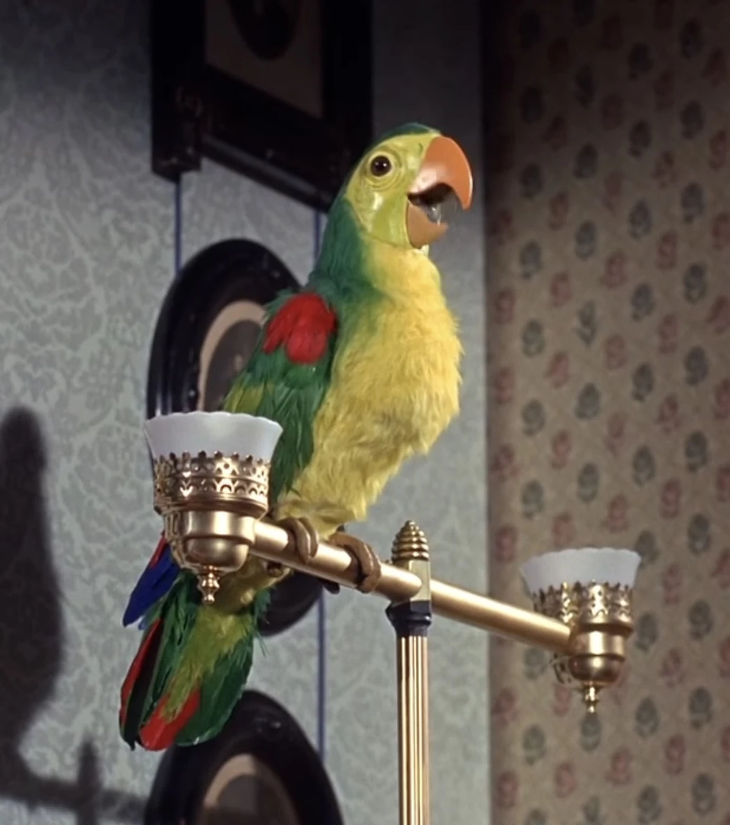 Parrot | Disney Wiki | Fandom