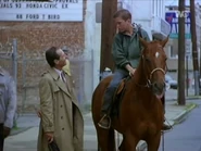 Flash | Disney Wiki | Fandom