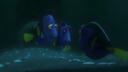 Finding Dory Charlie