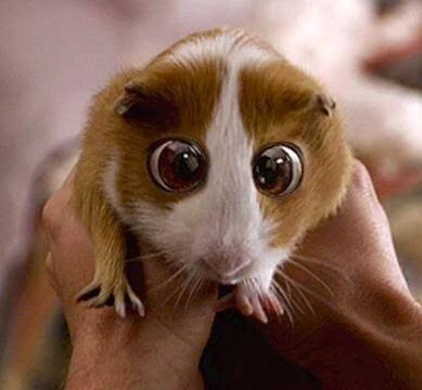 Fisgón | Disney Wiki | Fandom