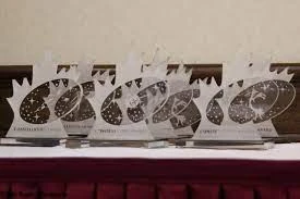 Constellation Awards | Disney Wiki | Fandom